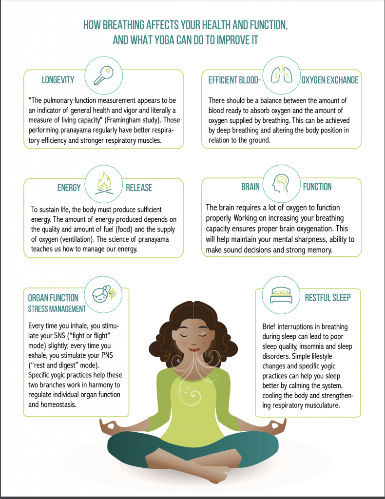 Portfolio Archive - Sequence Wiz