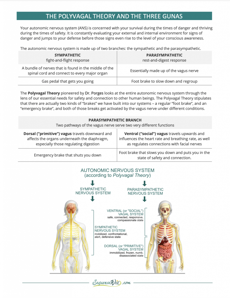 The Polyvagal Theory and the three gunas Archives - Sequence Wiz