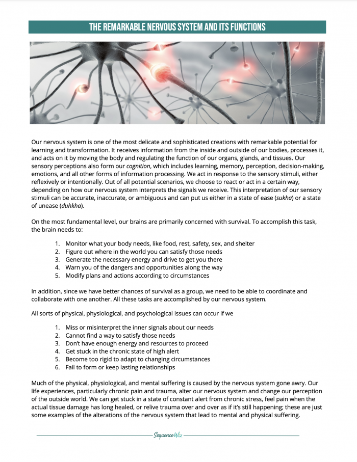 Portfolio Archive - Sequence Wiz