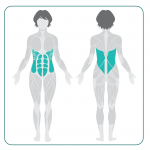 Design effective practices with yoga sequence builder - Sequence Wiz