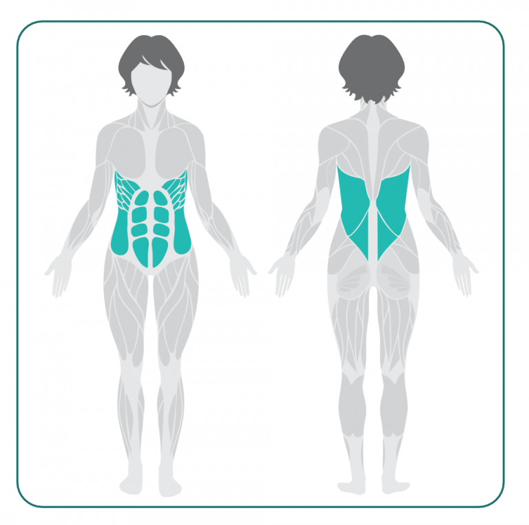 Organize your records to better serve your students - Sequence Wiz